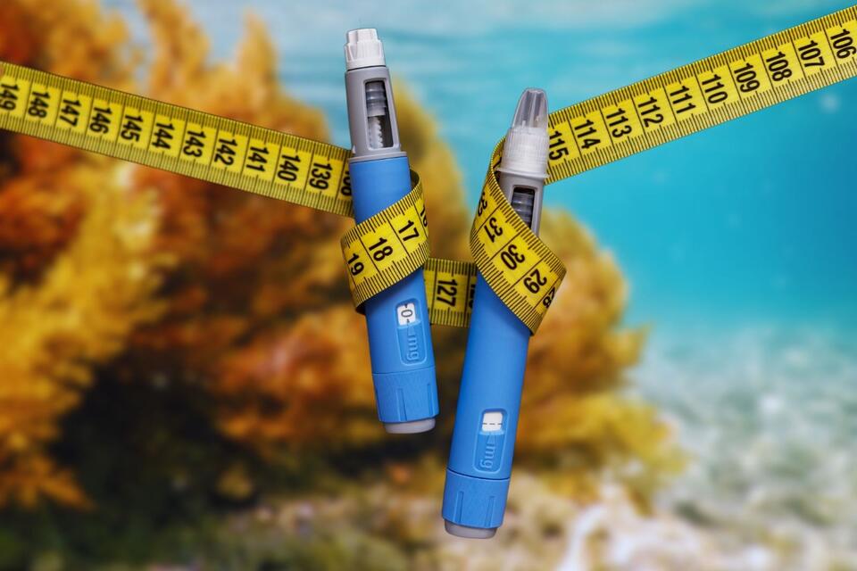 Could Scientists Have Found a Natural Alternative to Ozempic? - NewsBreak