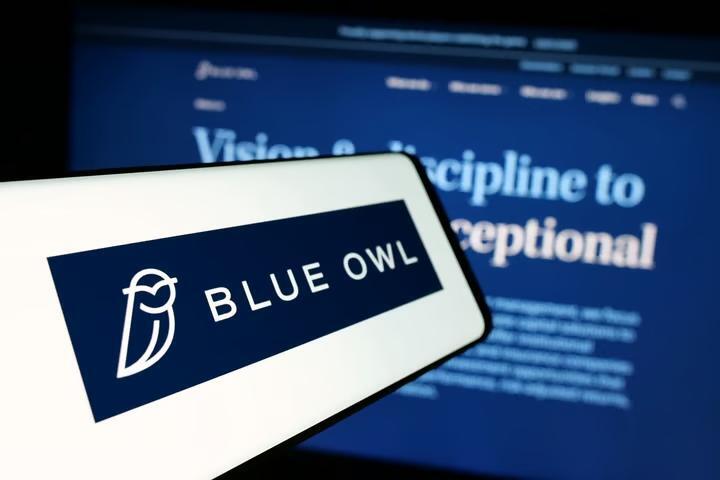 Moody's Clips Blue Owl's Wings, Slashes Rating To Negative Amid Rising ...