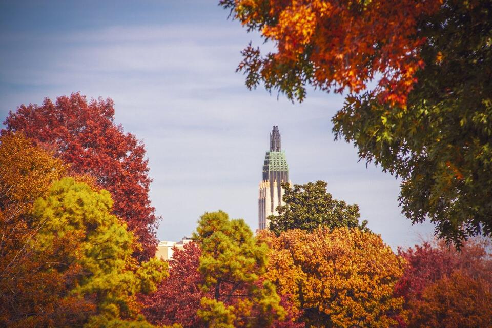 Fall Foliage Guide: Finding Oklahoma's Colorful Hotspots In 2025 ...