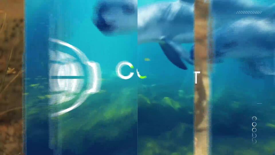 Colossal Launches The Colossal Foundation - NewsBreak