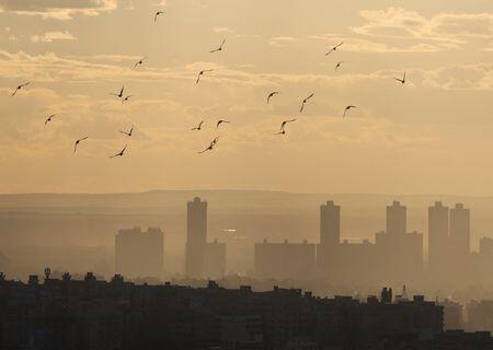 Egypt's economy seen growing 4.6% in 2025/26 as inflation eases - NewsBreak
