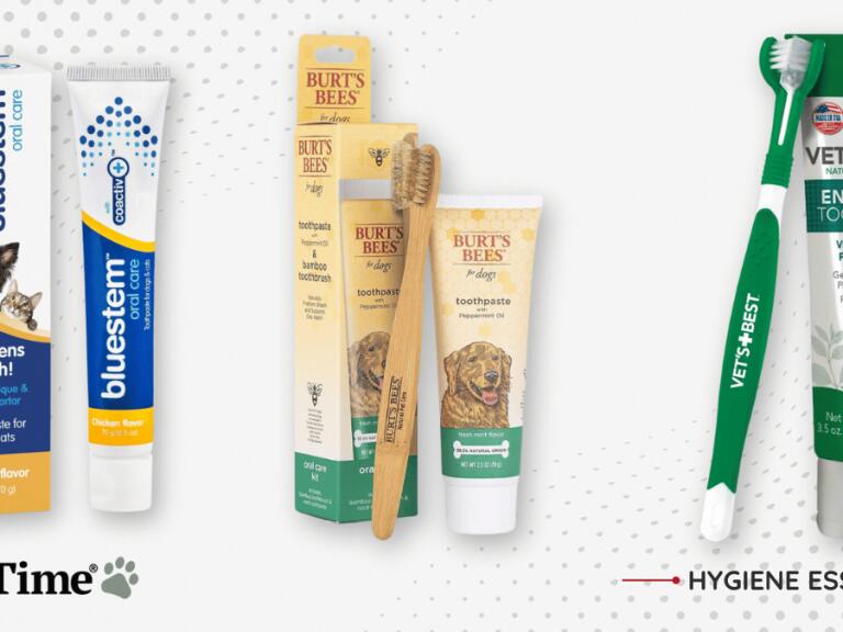 11 Best Dog Toothpastes of 2024 — Approved by Vets and Pets