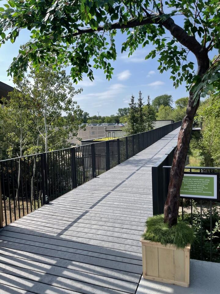 The Minnesota Zoo’s Treetop Trail Opens Today - NewsBreak