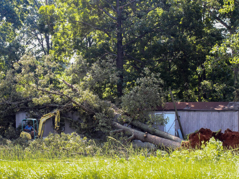 Pop-up storm unleashes high winds, rain
