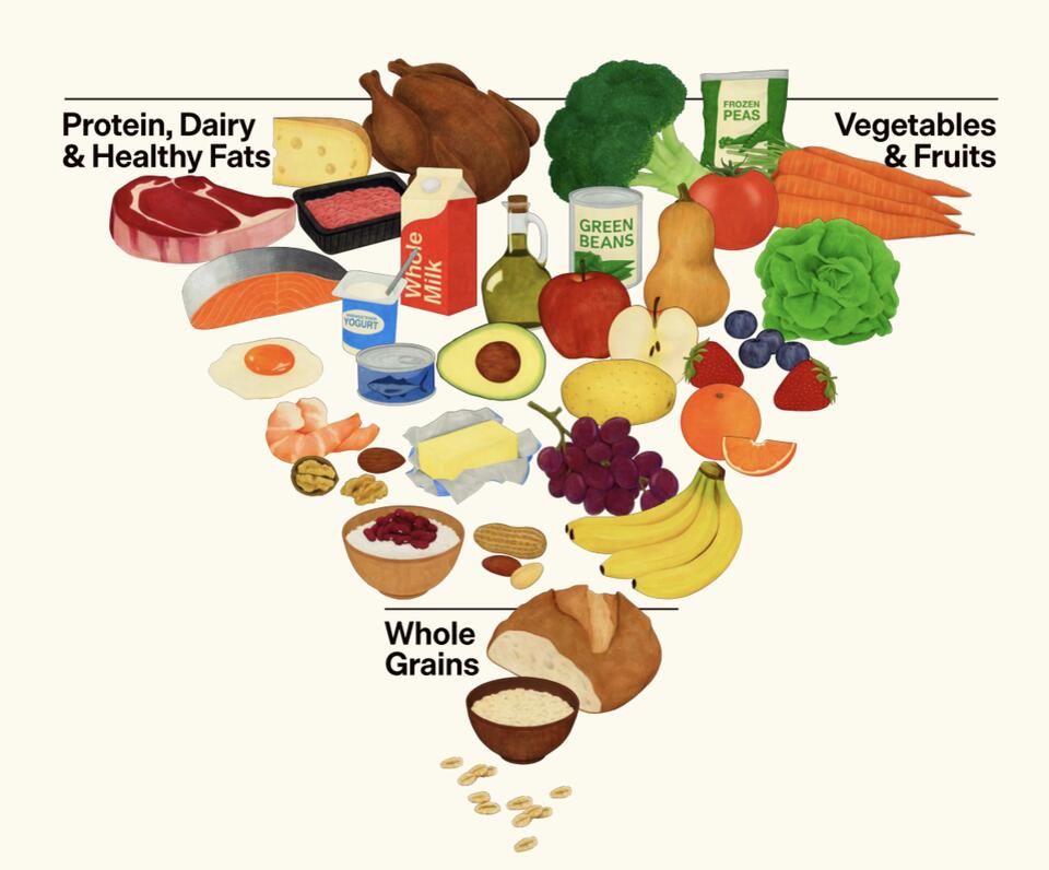 Food pyramid redesigned to prioritize red meat, decrease processed ...