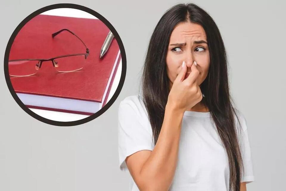Woman’s Viral PhD Thesis on the Ethics of Smell Sparks Wild Online ...