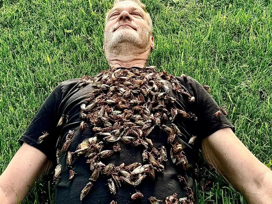 Stunning images show scope of cicada emergence in Chicago area