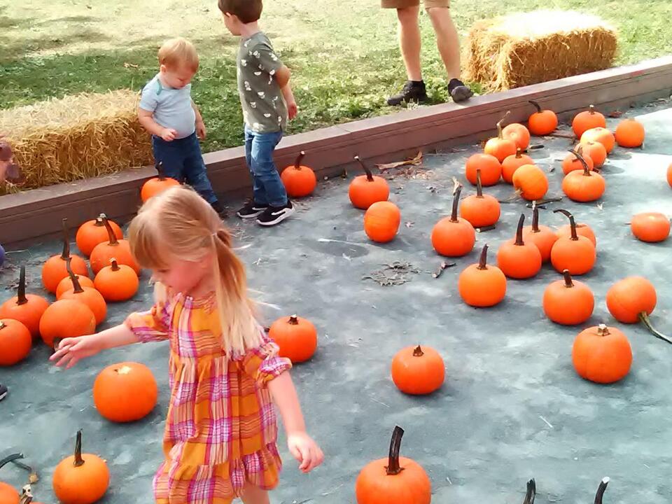 Middleburg Heights Fall Fest returns Oct. 4 with family fun, food and ...