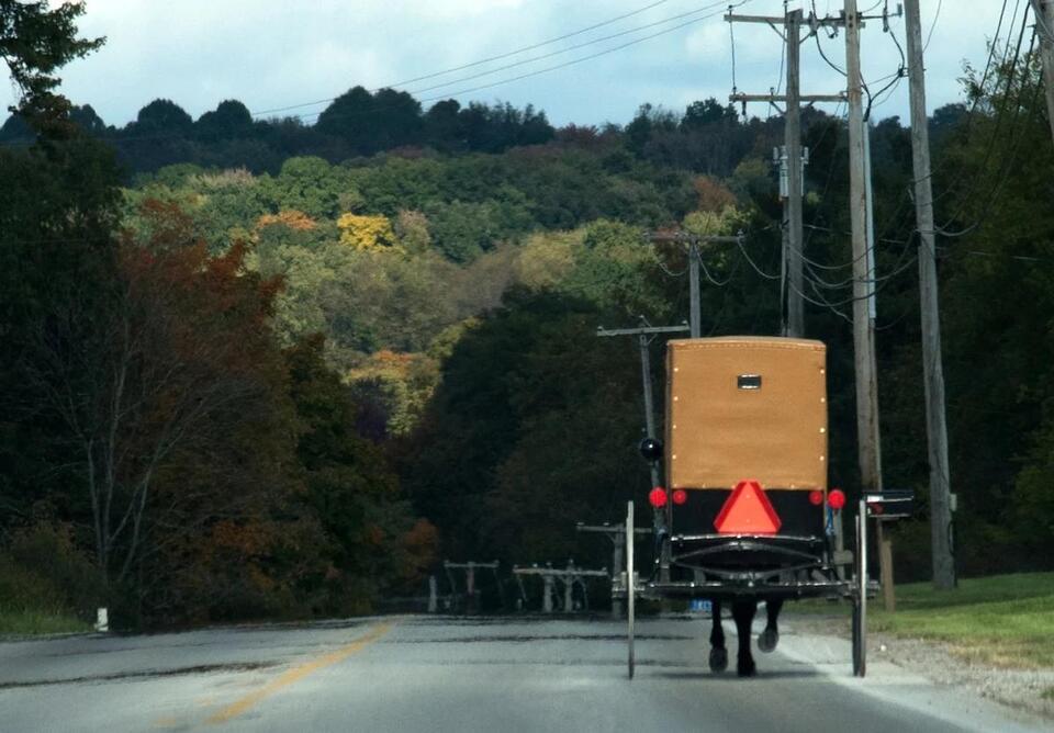 DUI Charges For Amish Buggy Driver After Crash With Car - NewsBreak