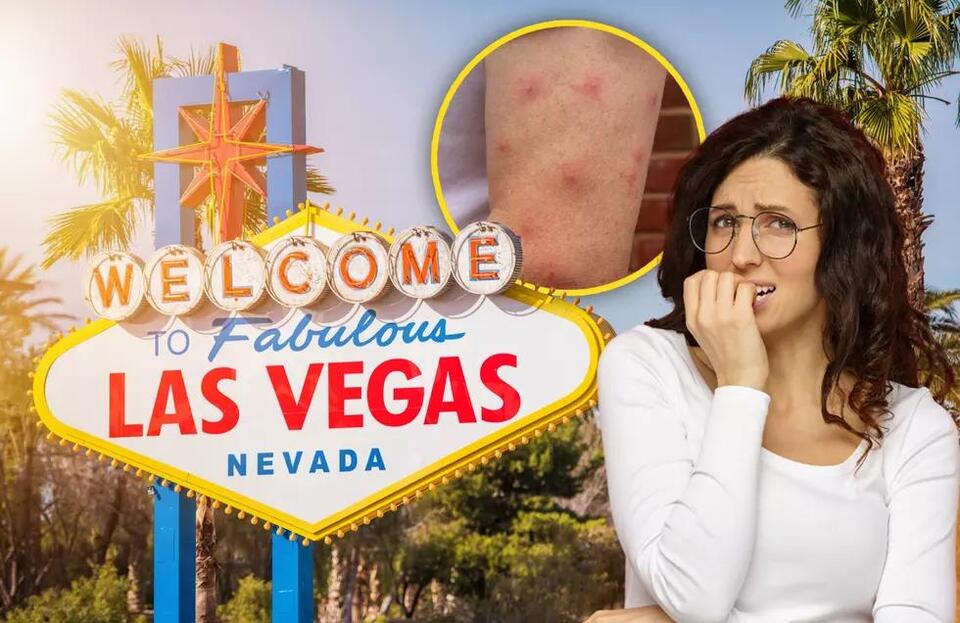 Deadly Virus in Las Vegas Spreading Fast: Utah To Be Hit Next - NewsBreak