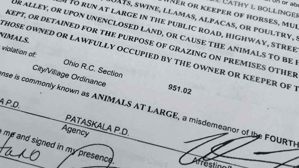 Pataskala woman charged with misdemeanor after neighbor dies in pig ...