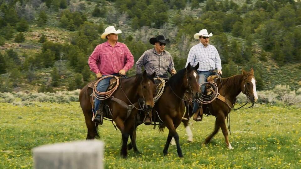 Can You Understand The Unique Wyoming Cowboy Lingo - NewsBreak