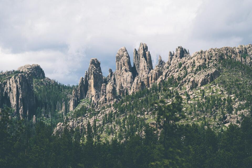 Tree Removal Prompts Temporary Closures on Needles Highway and American ...