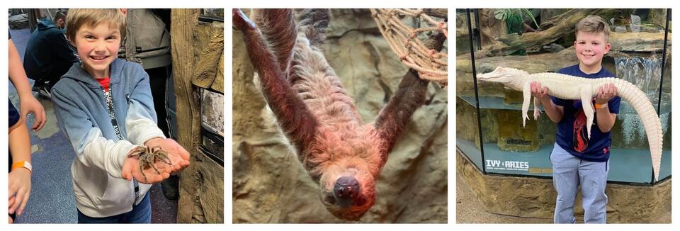 The LegaSea Aquarium & The Reptarium Offers Hands-On Fun with Animals ...