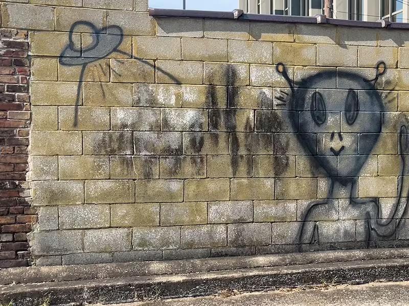 Hopkinsville residents prepare for Alien Invasion Day