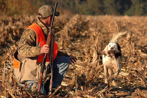 Maryland begins migratory game bird hunting seasons - NewsBreak