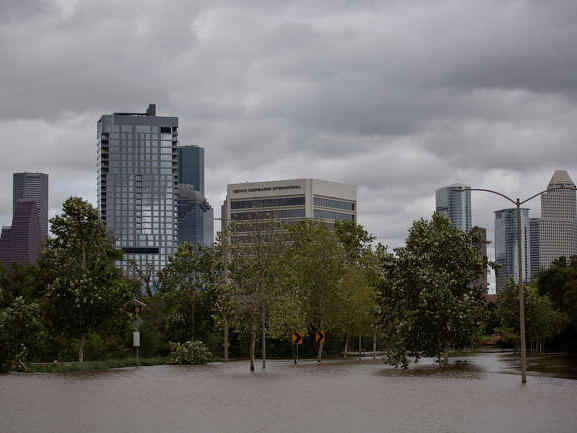 Houston's moles survived Hurricane Beryl's aftermath all on their own