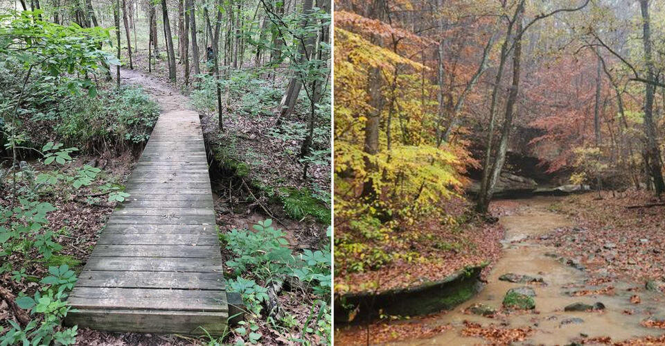 Follow This Illinois Trail To Uncover Ancient Petroglyphs In The Forest ...