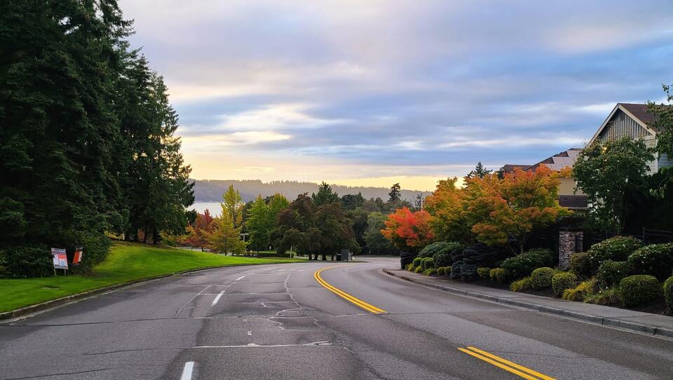 NOTICE OF PUBLIC HEARING: Tree Retention Code - NewsBreak