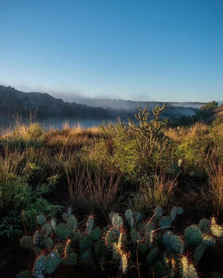 For Locals: New Mexico State Parks Announces Two New Benefits for ...