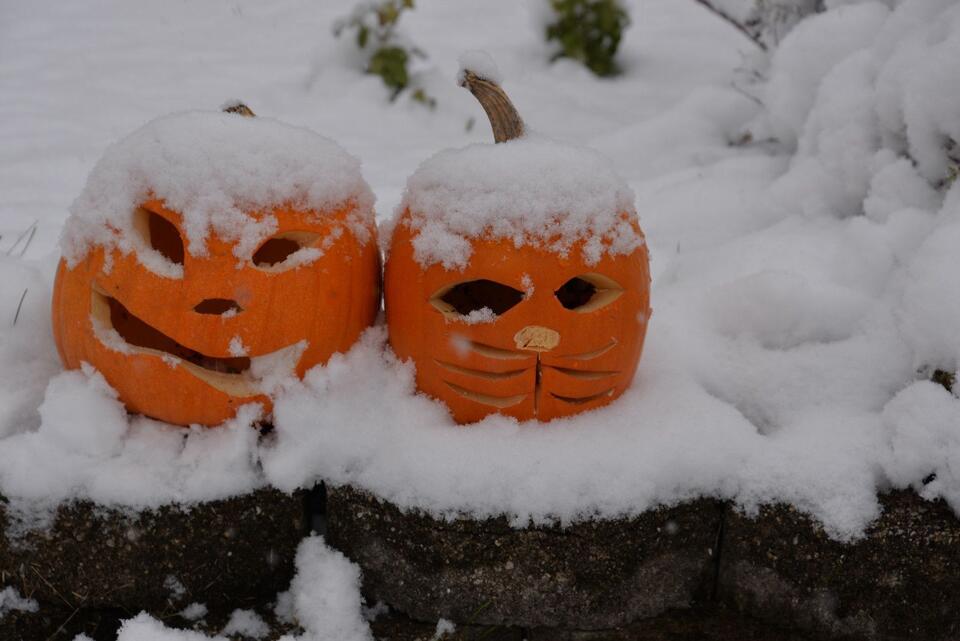 New York Forecasters Sound Alarm Over Rapidly Growing Snowstorm - NewsBreak