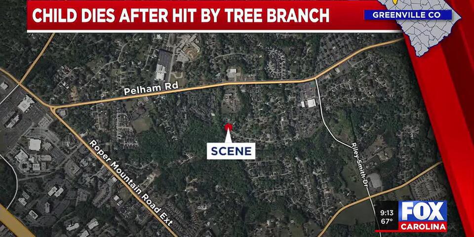 Coroner: Upstate 3-year-old hit by fallen tree branch while playing in ...