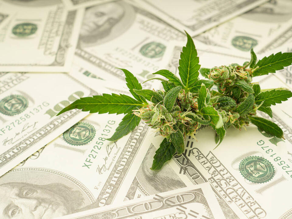 Illinois: December Breaks Monthly Marijuana Sales Record With $176 ...