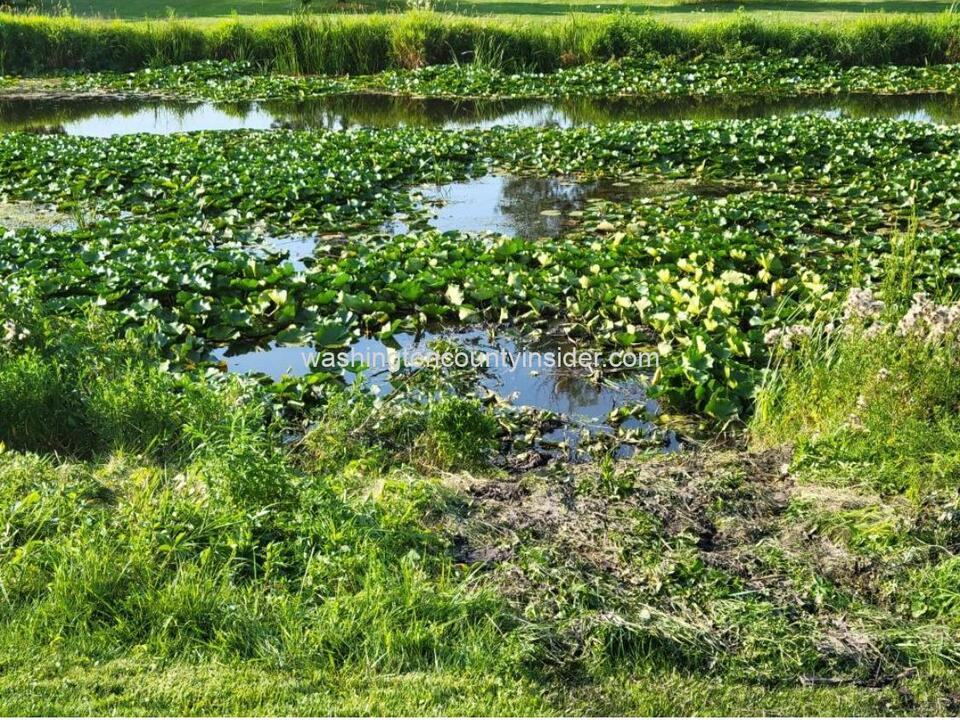 Car crosses Hwy 60 in Hartford, WI and ends up in river at Willowbrook Park