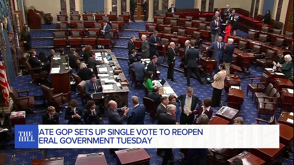Young Republicans call for immediate resignations after report on GOP ...