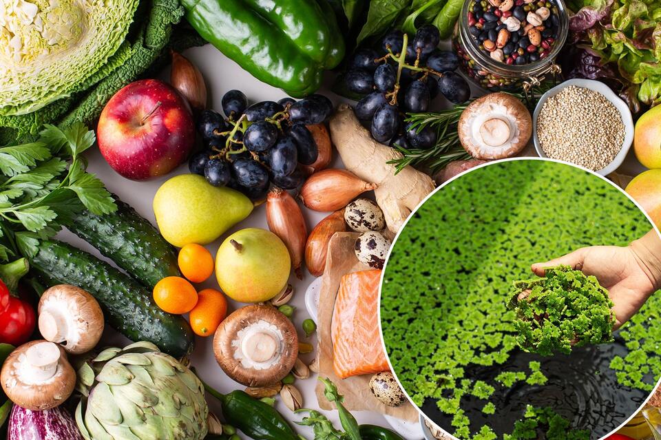 ‘Green’ Mediterranean diet burns fat faster than just healthy eating ...