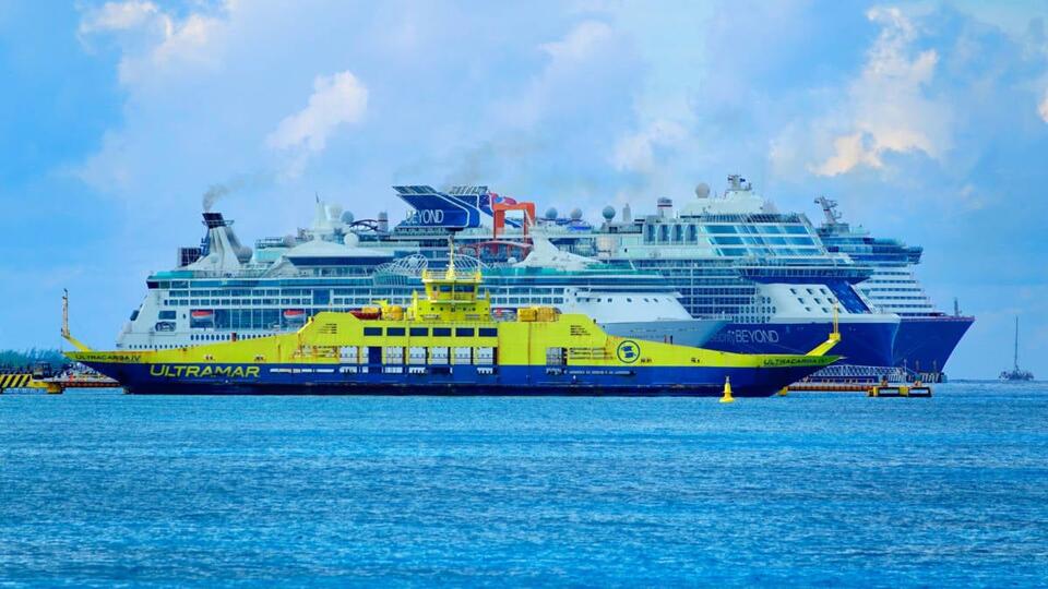 Cruise Line Apologizes After Autistic Guest Was Removed From Cruise in ...