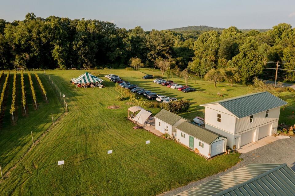 Turkey Point Vineyard set to close at end of year - NewsBreak
