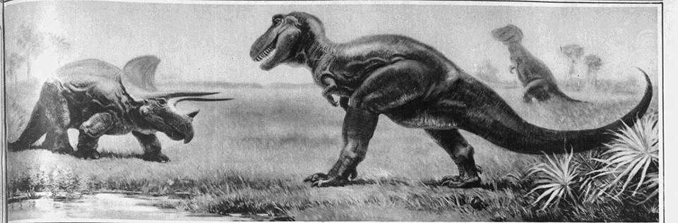 Top 5 Smartest Dinosaurs—And How We Know - NewsBreak