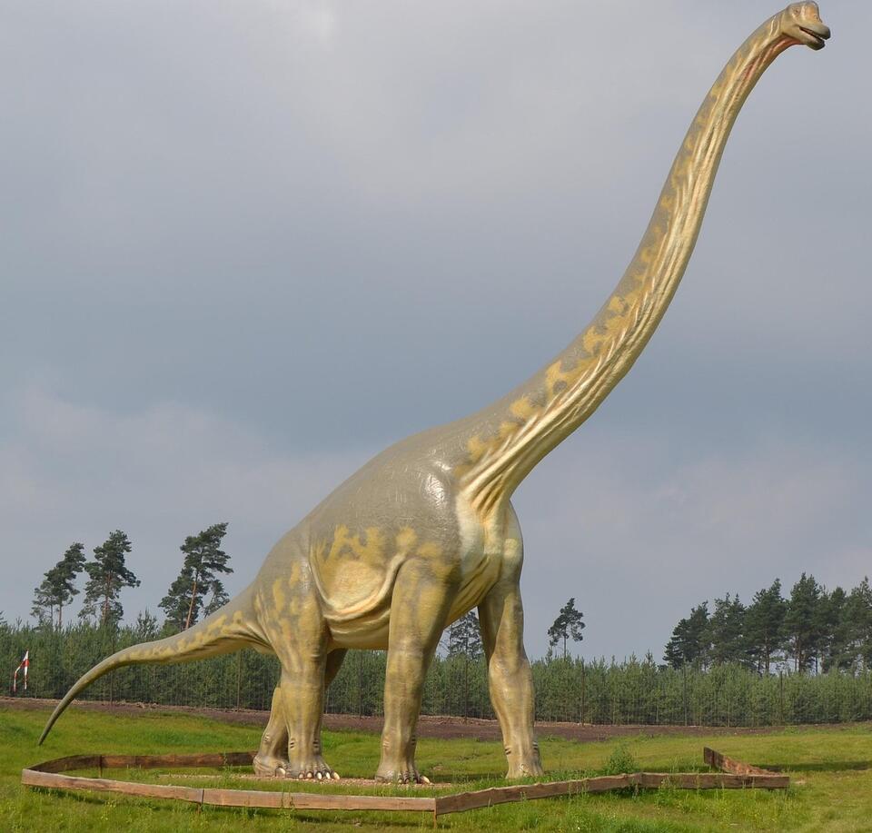The Dinosaur With the Longest Neck - NewsBreak