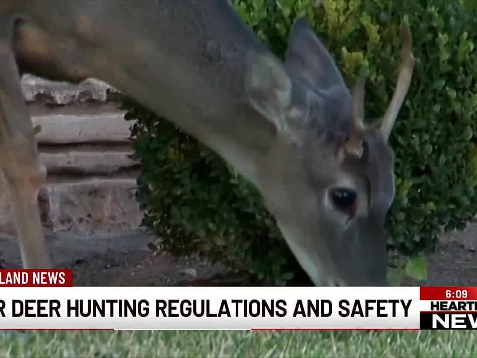 IDNR deer hunting regulations and safety