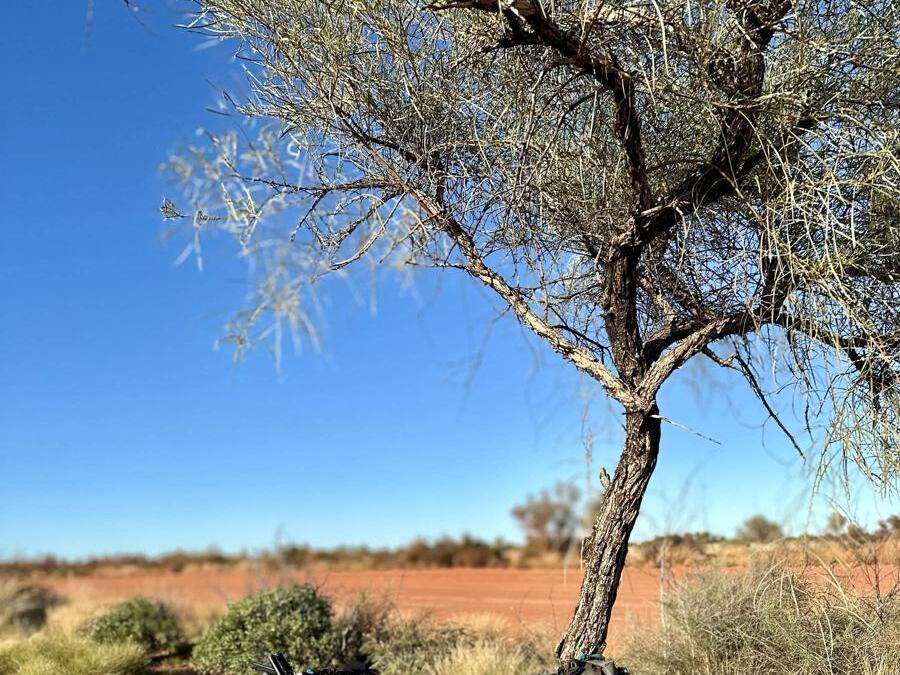 2024 Race to the Rock Recap by April Drage