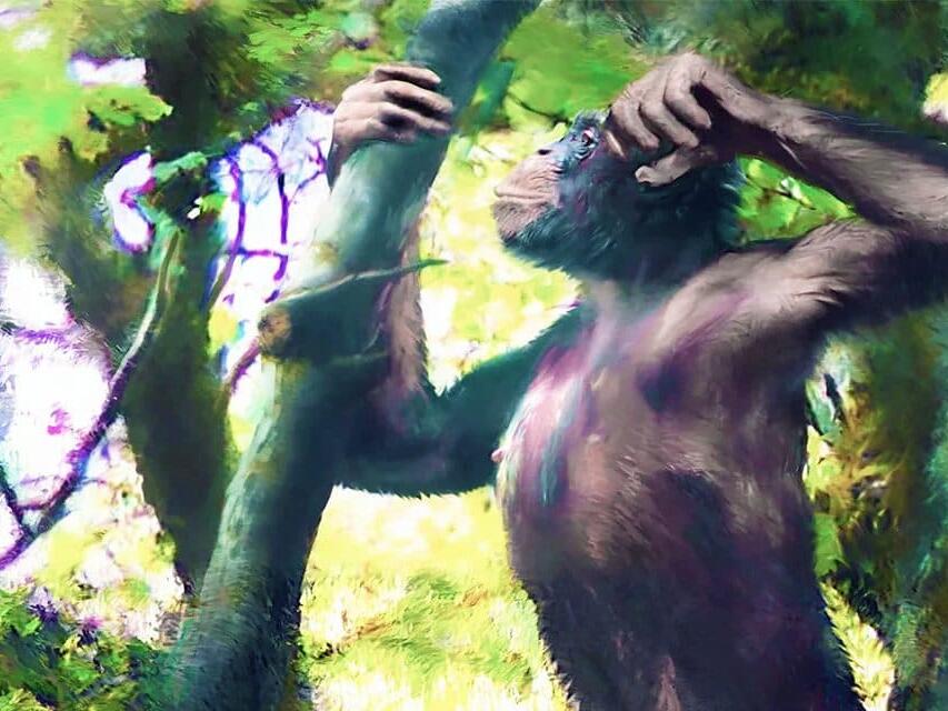 Tiny great ape species discovered that lived 11 million years ago