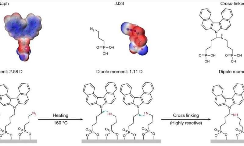 Universal in-situ cross-linking strategy enhances stability of inverted ...