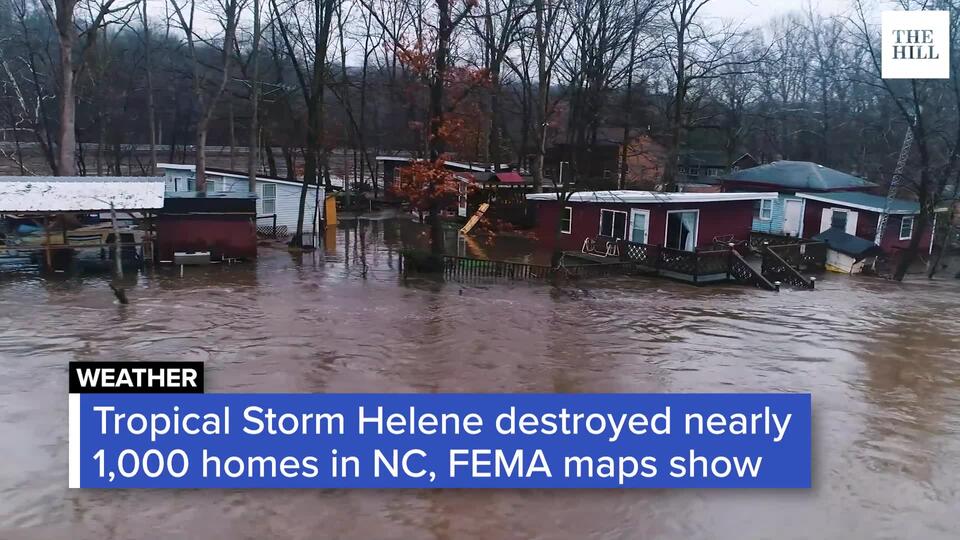 Trump administration ousts Linda Fagan, first female Coast Guard commandant - NewsBreak