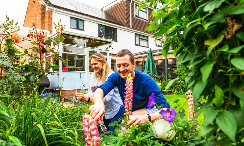 A new leaf: cheap and low-cost ways to bring a garden to life - NewsBreak