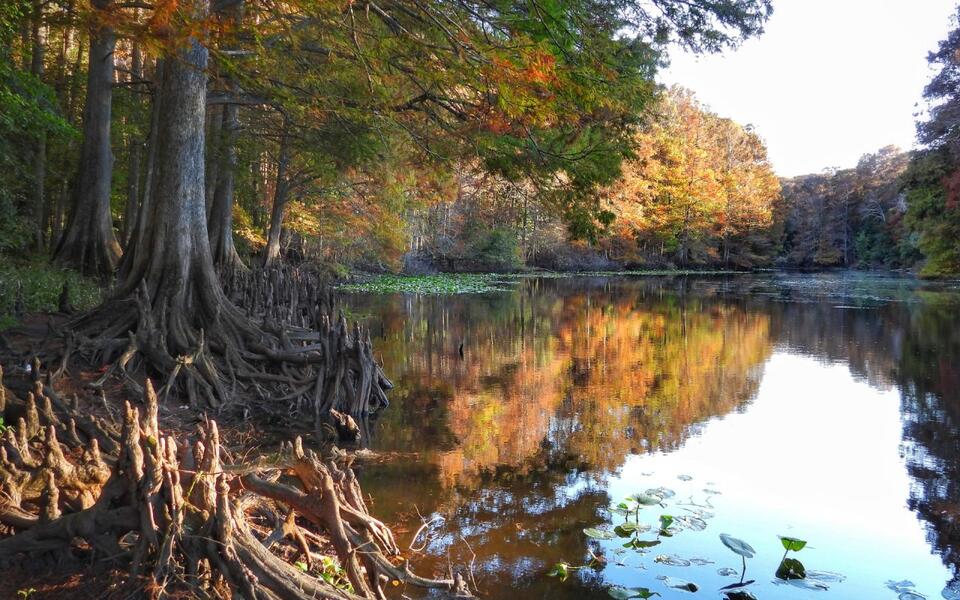 A Dam Good Time: Touring the Rodman Reservoir Drawdown - NewsBreak
