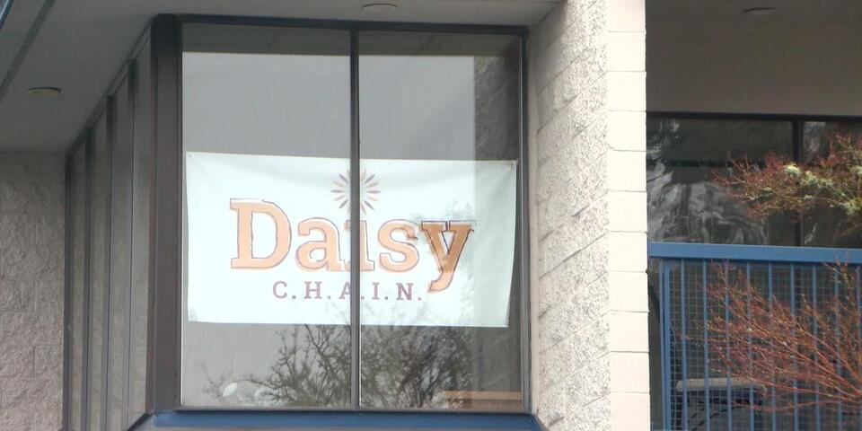 Daisy CHAIN announces immediate closure, citing financial challenges ...