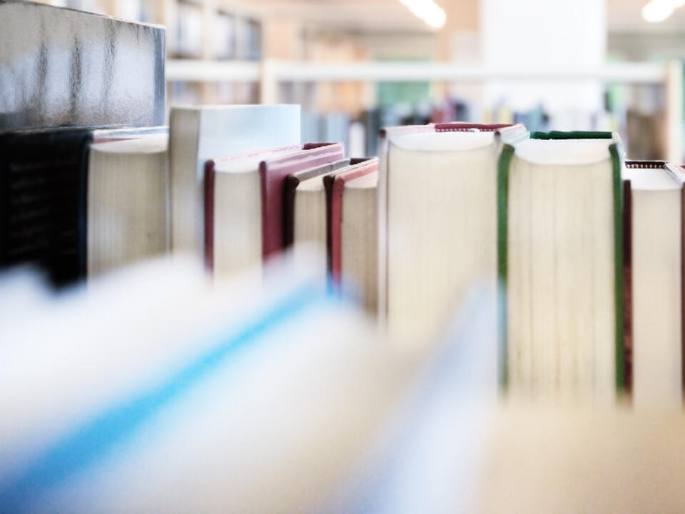 Discover the Mystery: Mothman Event at Summers County Library on July 5