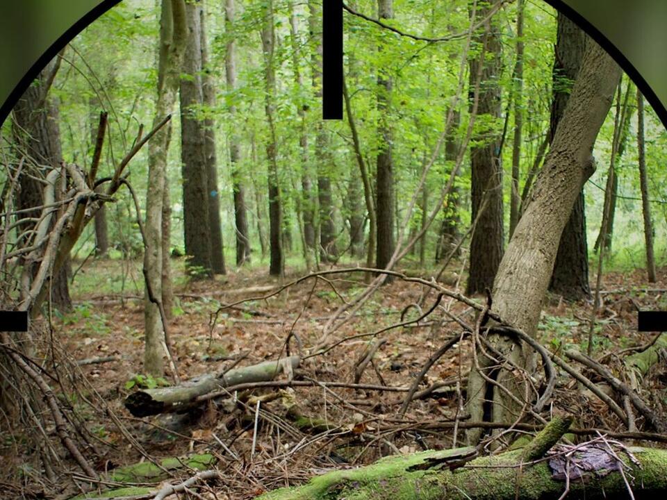 Second controlled hunt draw results are online