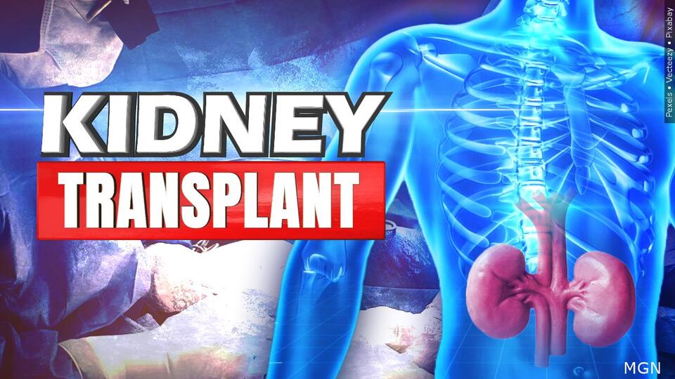 Surgeon says living kidney donation could cut 3–5 year wait for ...