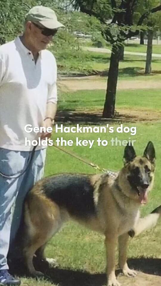 Gene Hackman's dog Zinna holds the key to the couple's tragic final ...