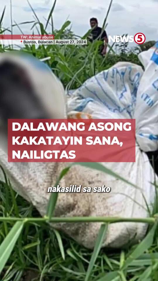 BABALA ANIMAL ABUSE #N5DOriginals Arestado ang isang 43-anyos na lalaki matapos mahuling ...