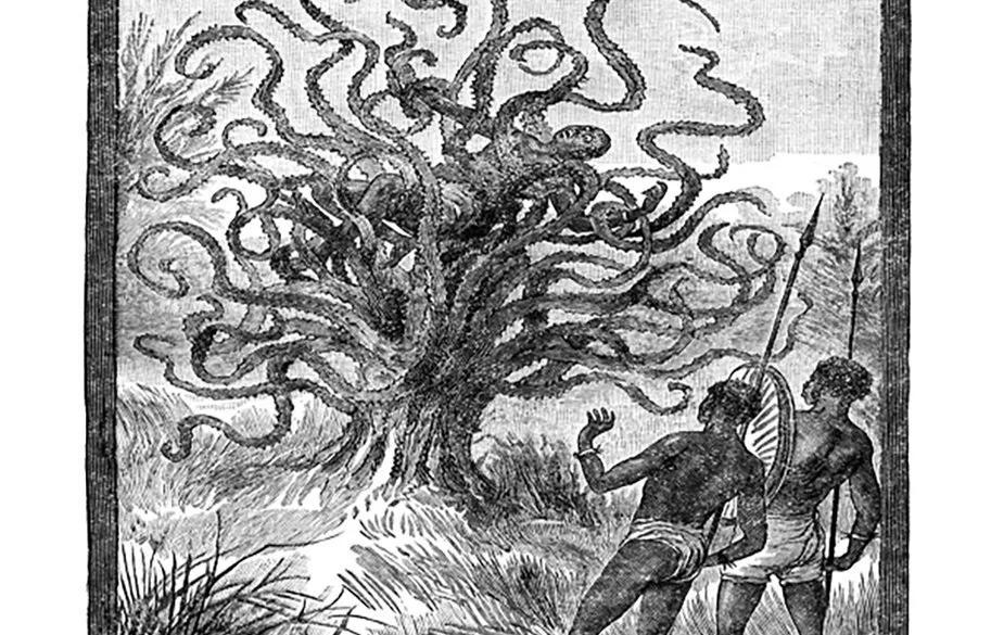 The Man-Eating Tree of Madagascar: How a 19th-Century Newspaper Hoax ...