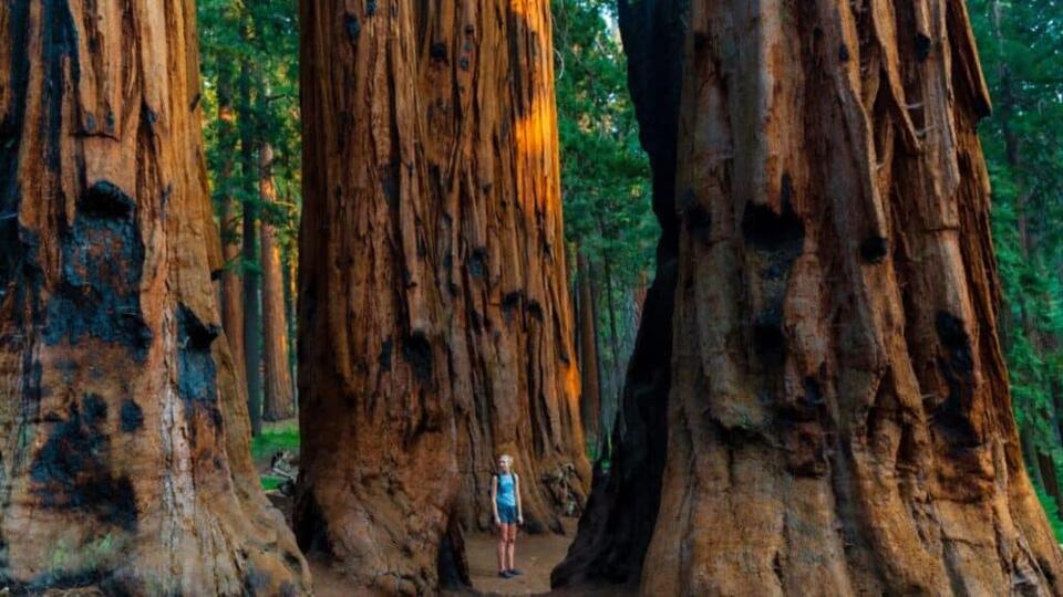 Golden State Wonders: 9 Best Places to Visit in California - NewsBreak