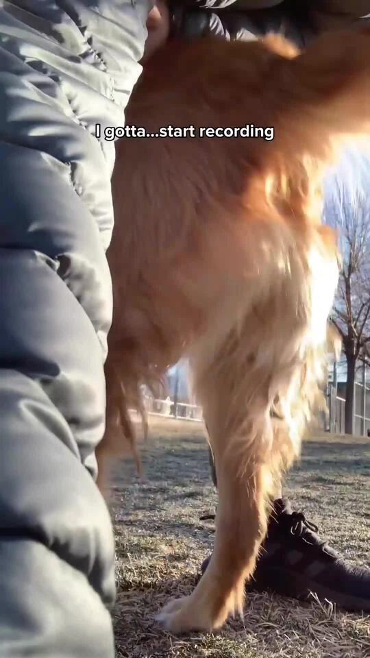 Throwback stomps Nala often starts stomping before I can even set up ...